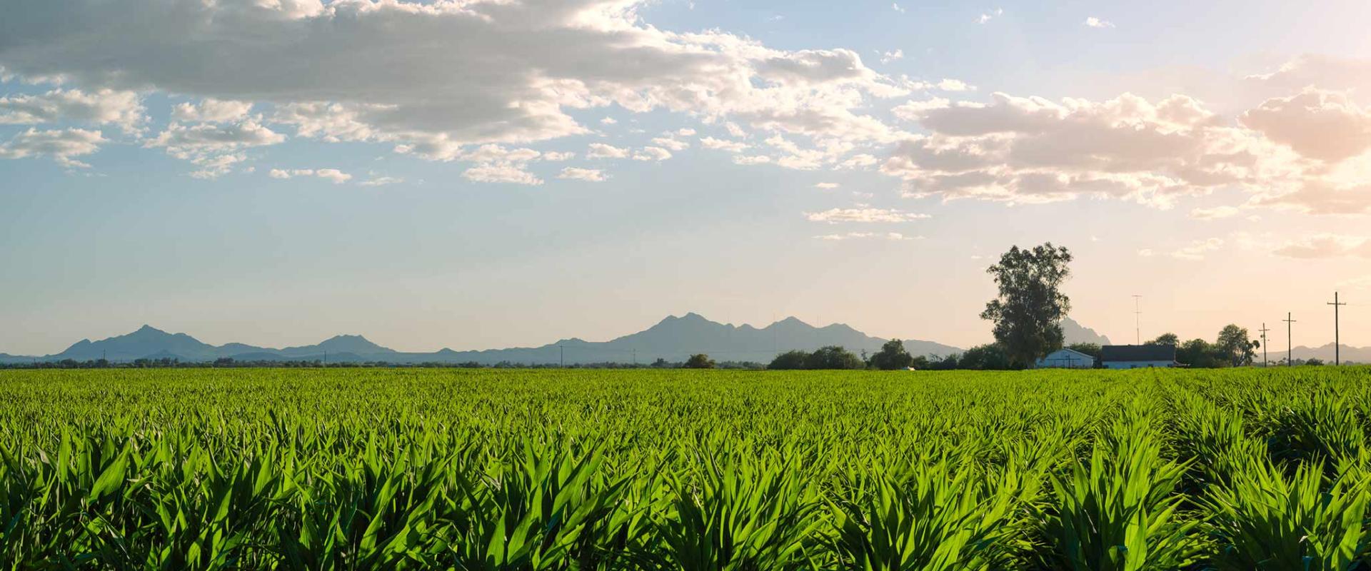 Why Western Skies Western Skies Advisory